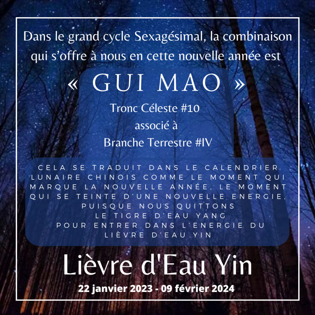 GUI MAO - Le Lièvre d'Eau Yin - Santé Qi Gong